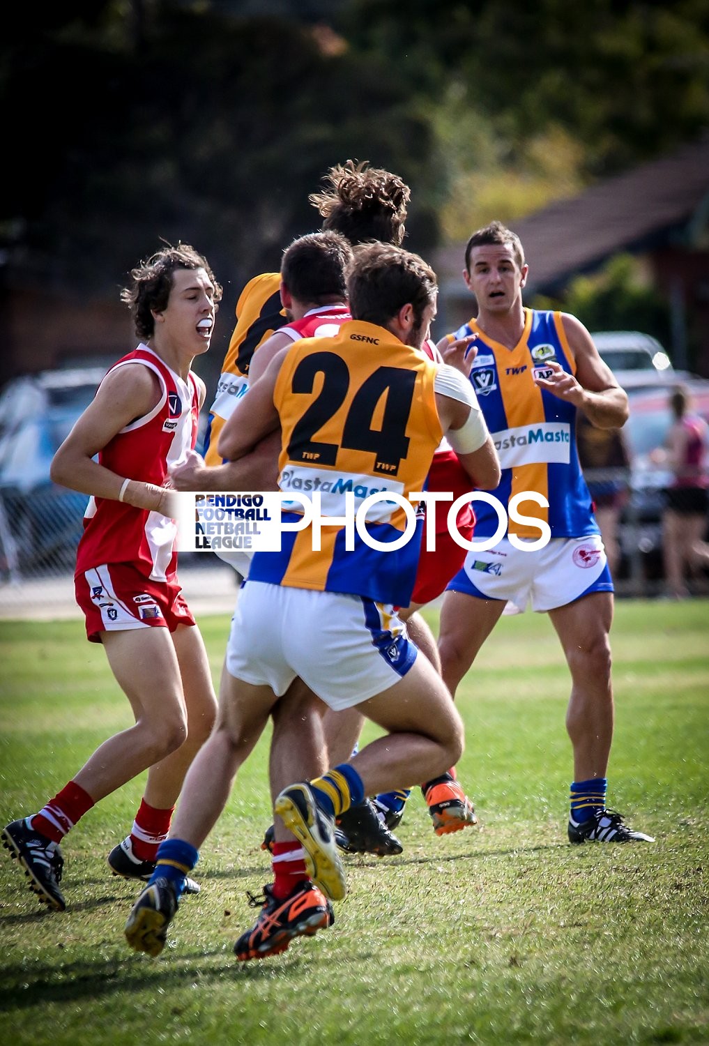 2015 - Galleries - Bendigo FNL Photos